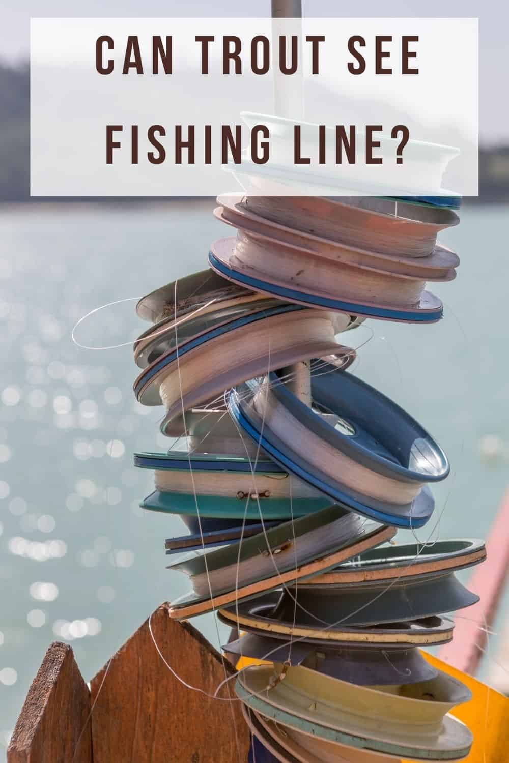 Can Trout See Fishing Line? [The Definitive Answer] - Southern Trout