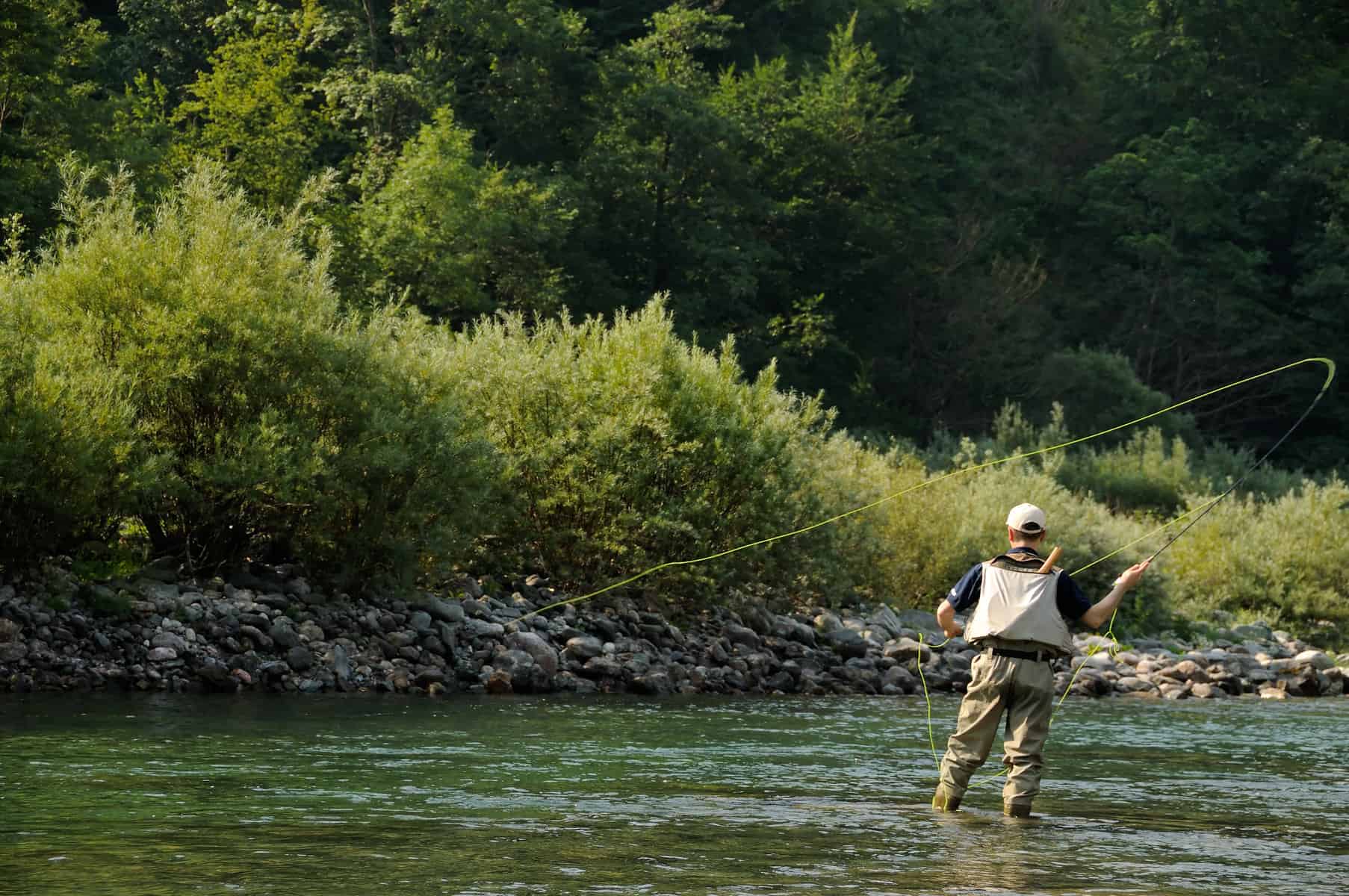 Trout Fly Fishing for Beginners: Tips and Tricks to Get You Started ...