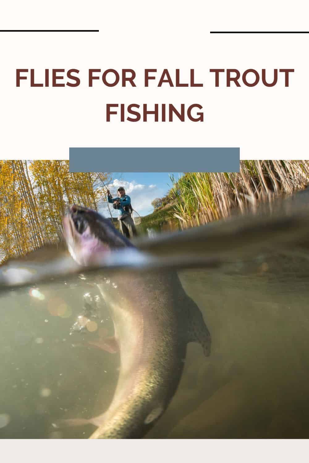 Flies for Fall Trout Fishing - Southern Trout