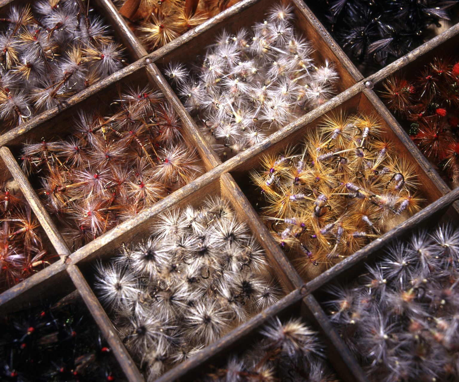 Dry Flies for Trout Fishing - Southern Trout