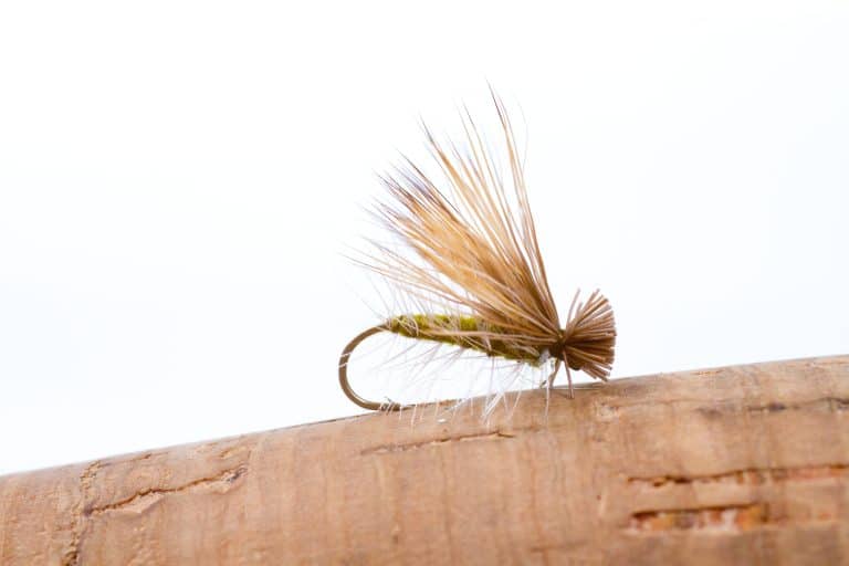 Dry Flies for Trout Fishing - Southern Trout