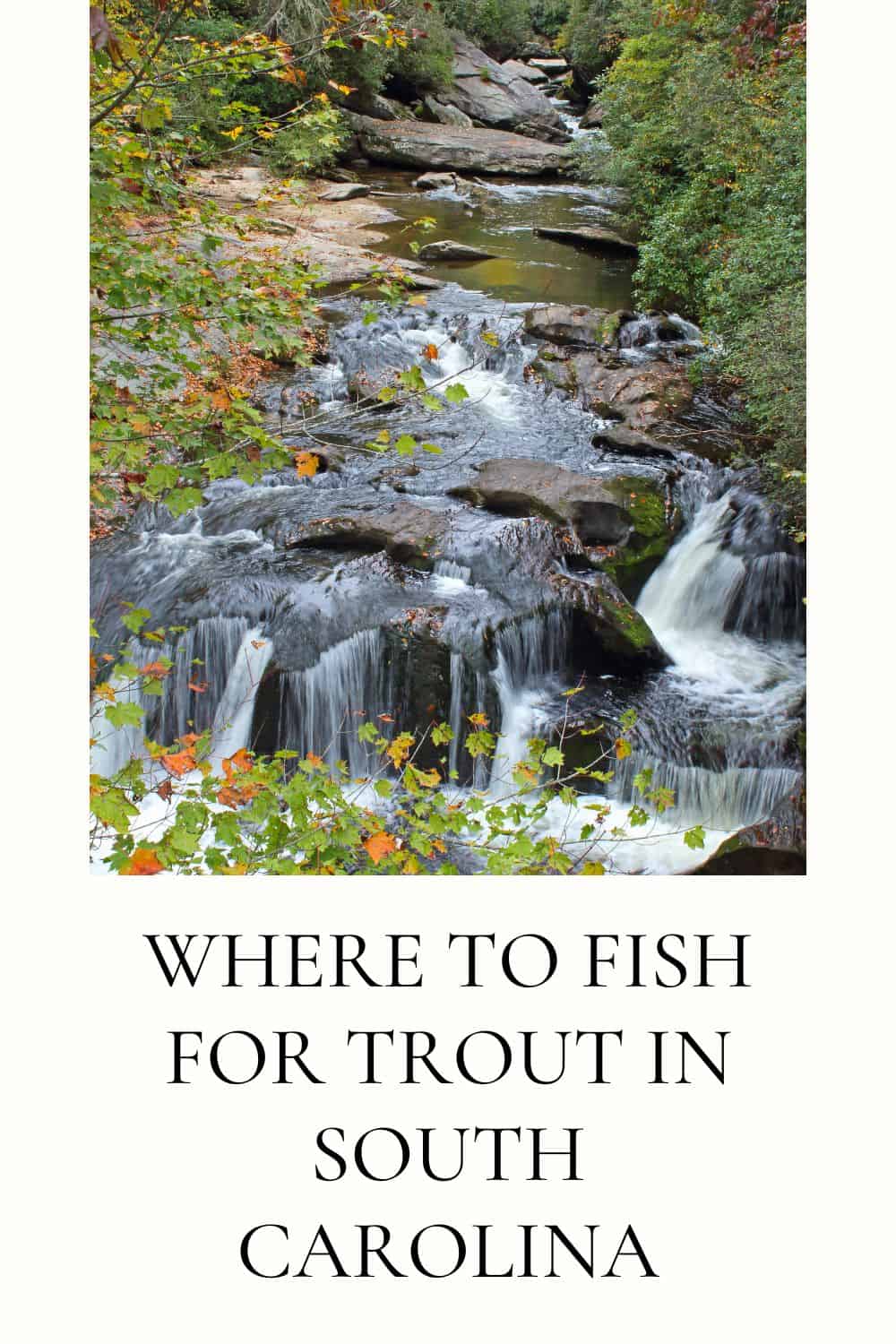 Where to Fish for Trout in South Carolina [ 4 Great Fishing Spots ...