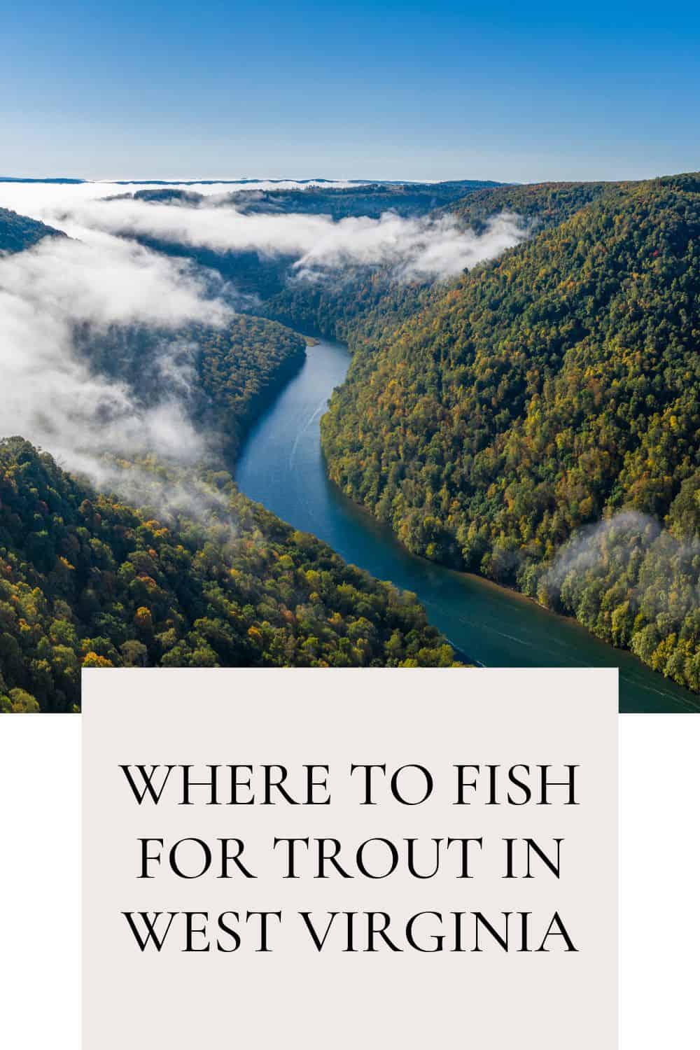 Where to Fish for Trout in West Virginia [ 4 Great Fishing Spots ...
