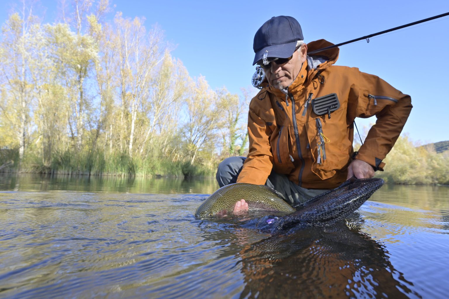 Where to Fish for Trout in Virginia [ 4 Great Fishing Spots Revealed ...