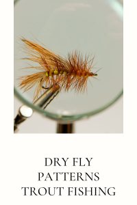 Dry Fly Patterns Trout Fishing: Your Ultimate Guide to Success ...