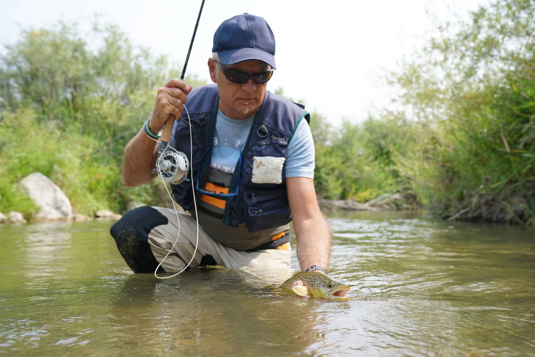 Mastering Trout Fishing in Hot Weather: Tips and Tricks - Southern Trout
