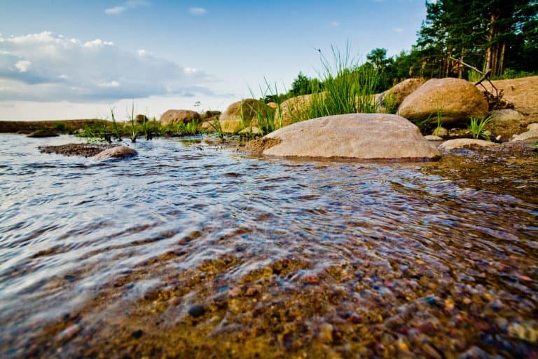 Trout Fishing in a Stream: Tips and Techniques for a Successful Catch ...