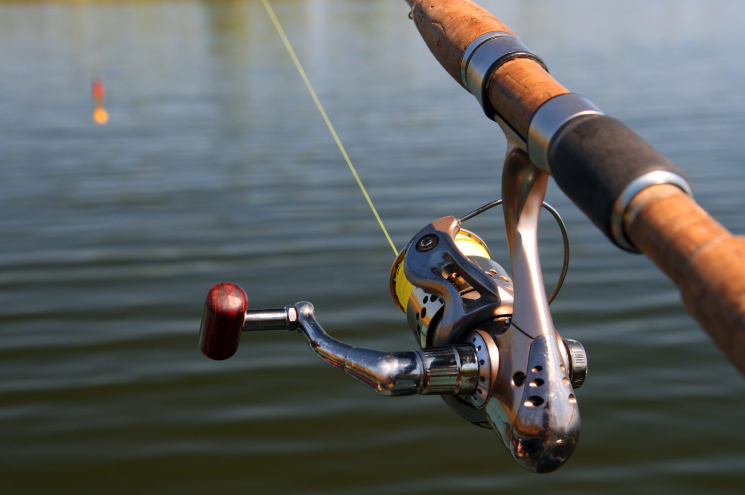 Mastering Trout Fishing with a Spinning Reel: Tips and Techniques ...