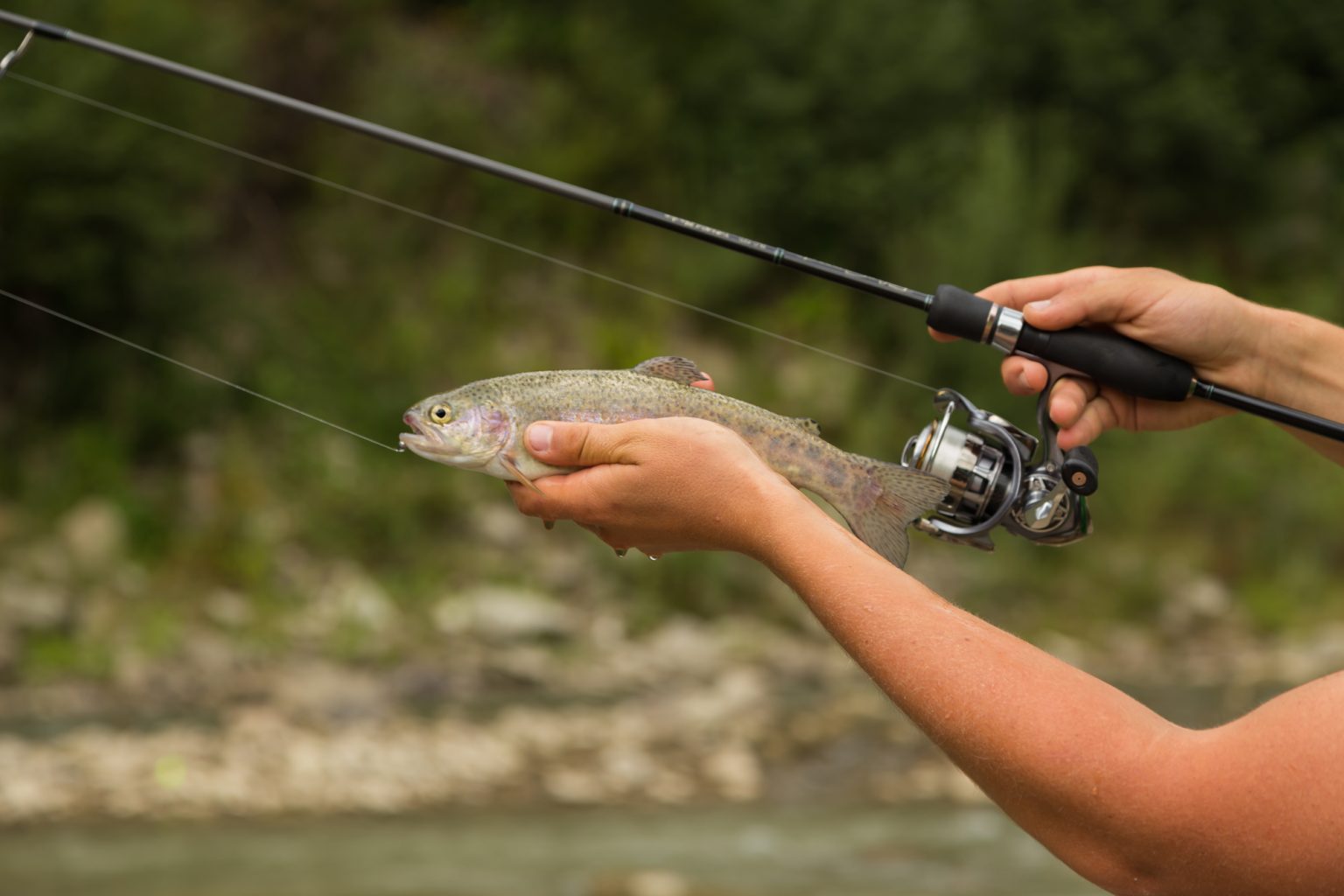 Mastering Trout Fishing in Hot Weather: Tips and Tricks - Southern Trout