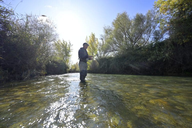 Mastering Trout Fishing Techniques for Rivers: Tips and Tricks ...
