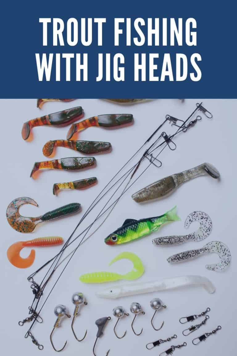 Mastering Trout Fishing with Jig Heads: Tips and Techniques - Southern ...