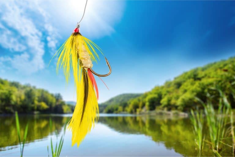 How to Make Flies for Trout Fishing: Expert Tips & Tricks - Southern Trout